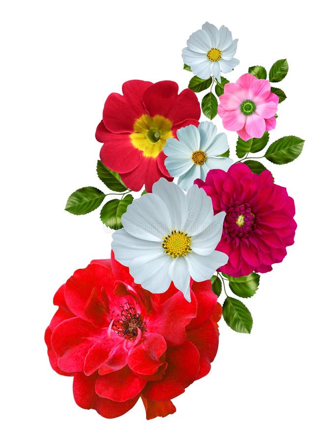 Digital Flower, Floral Beautiful Textile Flower Design Stock ...