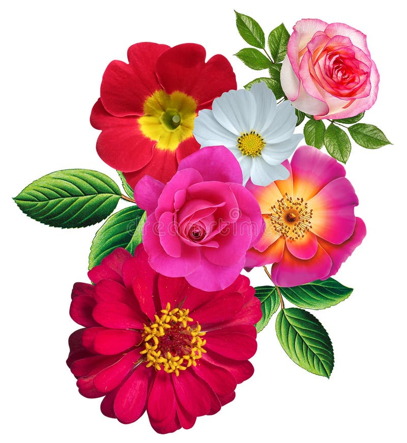 Digital Flower, Floral Beautiful Textile Flower Design Stock ...