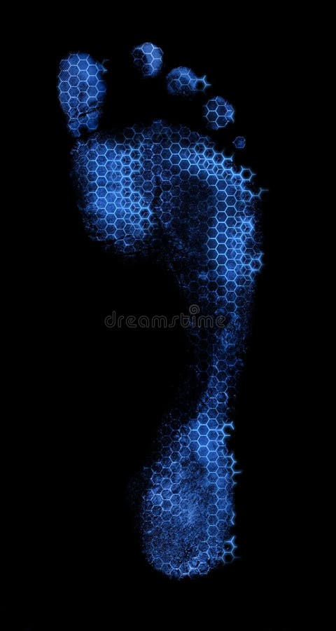 Digital Footprint Logo Icon Design Illustration Set Stock Illustration ...