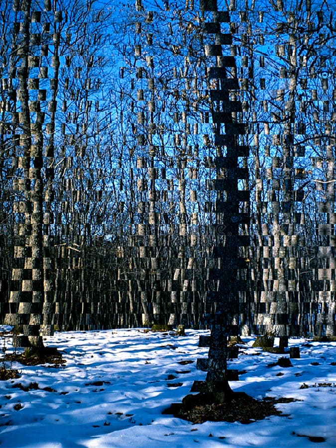 Digital Forest Abstract Art Background Trees Stock Image - Image of ...