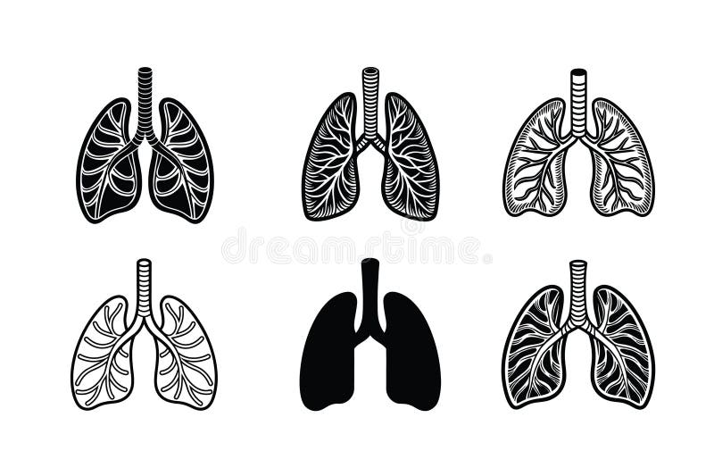 Trachea Organ Simple Line Illustration Victor Icon File-6 Stock ...