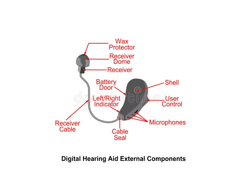 External Components Stock Illustrations – 126 External Components Stock ...