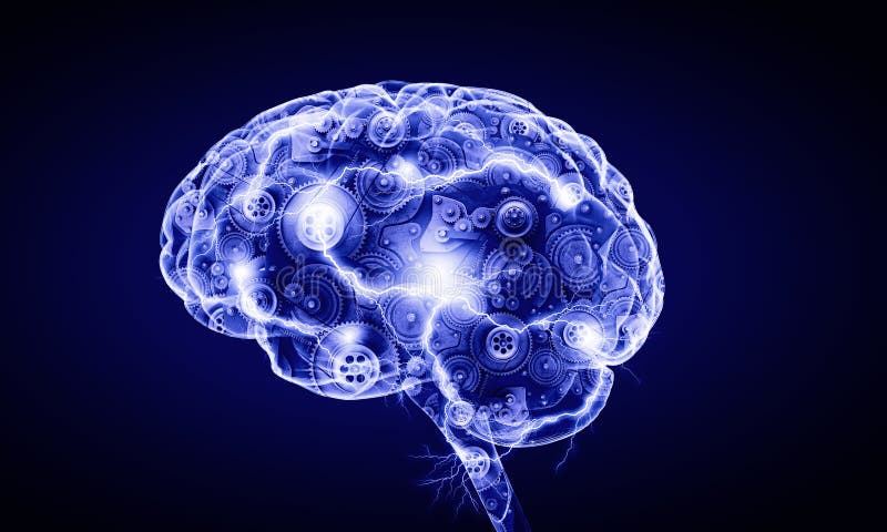 Digital human brain stock photo. Image of neurology, anatomy - 64508242