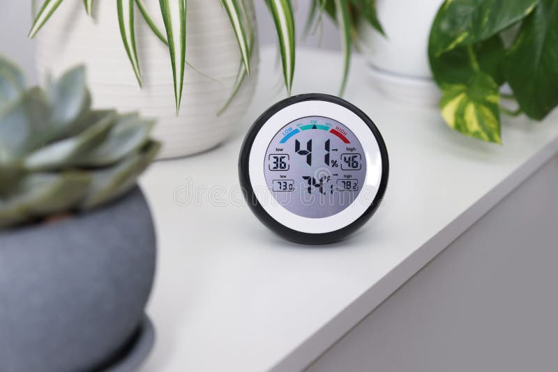 Digital Hygrometer with Thermometer and Plants on White Table Stock Photo - Image of hygrometer ...