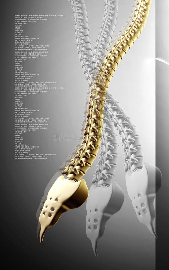 Back bone stock illustration. Illustration of technology - 11395128