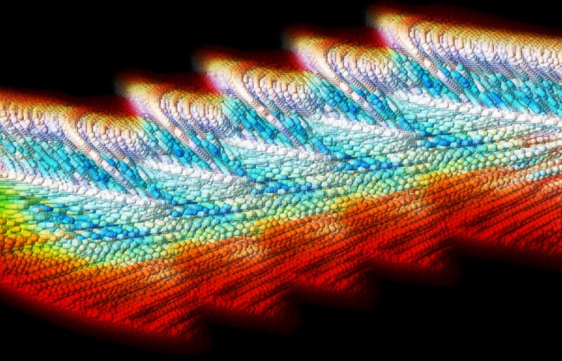 Digital Illustration Beautiful Feather Stock Illustration ...