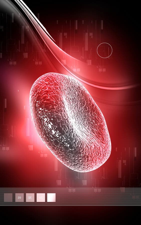 Rbc Cell Stock Illustrations – 476 Rbc Cell Stock Illustrations ...