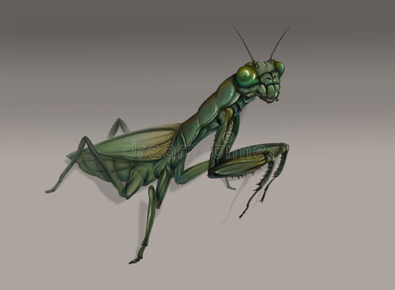 The fantasy mantis stock illustration. Illustration of insects - 173208948