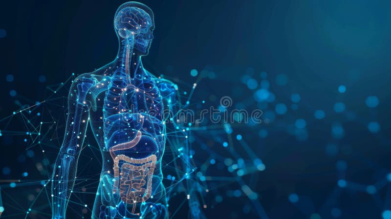 A Digital Illustration of a Human Body Made from Connected Dots, Lines ...