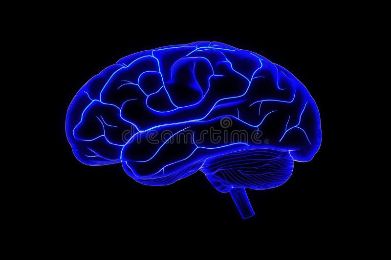 A Digital Illustration of the Human Brain, Featuring Electrical ...