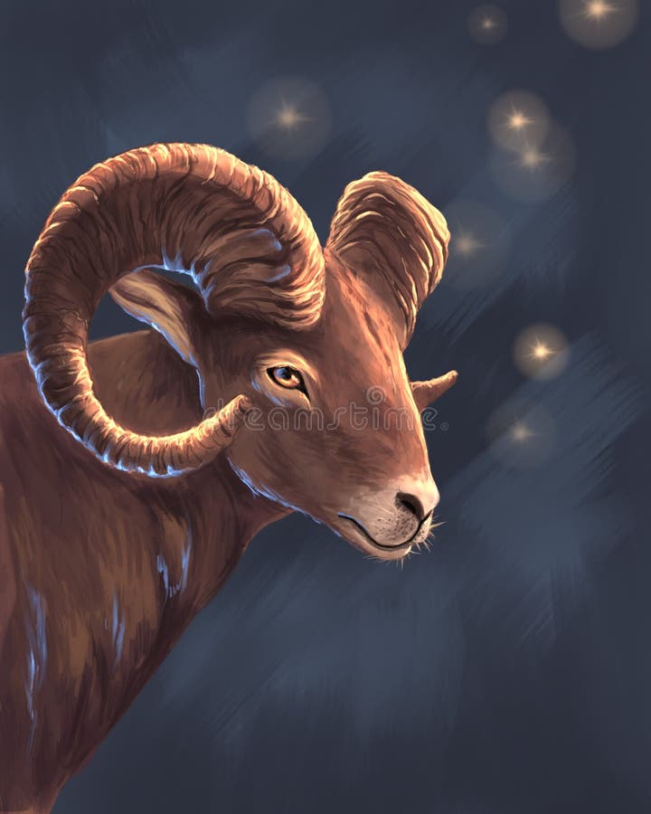 Beautiful Portrait of the Ram Stock Illustration - Illustration of head ...