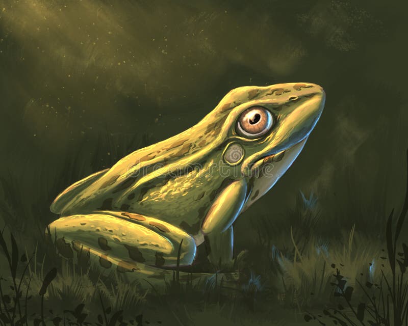 Green frog in the grass stock illustration. Illustration of points ...