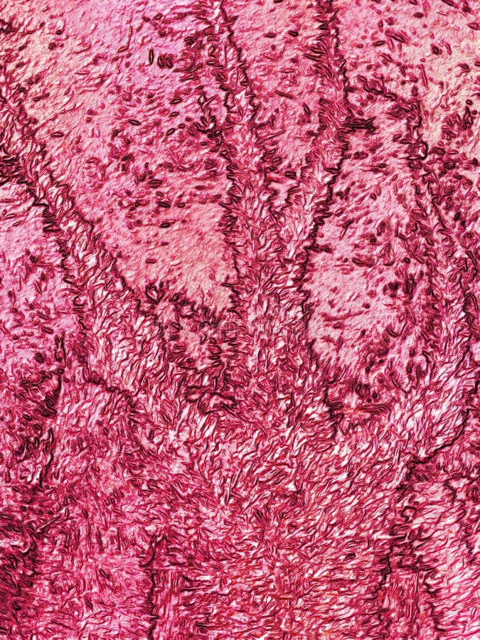 Digital Illustration Tree Background Stock Image - Image of energy ...