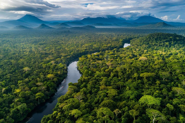 Digital Image of Aerial View of the Amazon Rainforest, One Third ...