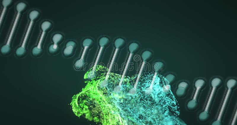 Digital Image of Dna Structure Spinning Against Digital Wave on Green ...