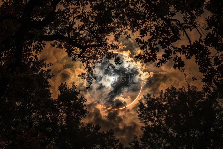 Digital Image of Eclipse through Trees and Clouds, High Quality, High ...