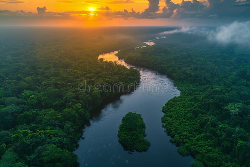 Digital Image of Panoramic View of the Amazon Rainforest and River in ...