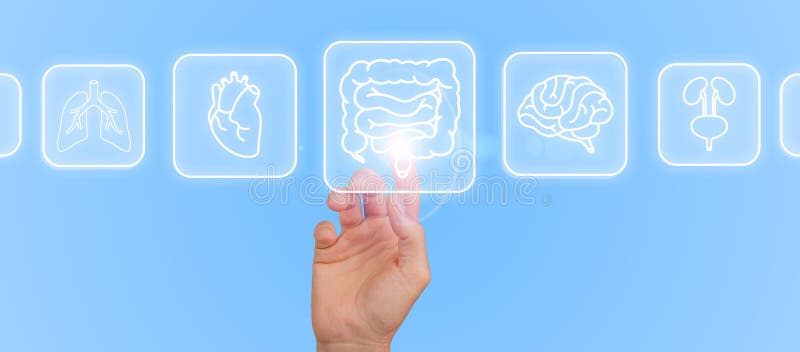 A Digital Interface Displaying a Checkup of the Intestine and Digestive ...