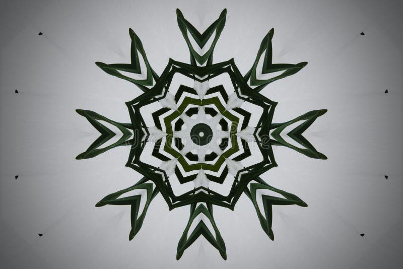 Magic Shapes stock illustration. Illustration of mandalabackground ...