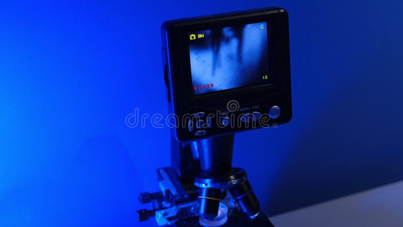 Digital Microscope Screen Displaying Moving Microorganisms Under Blue ...