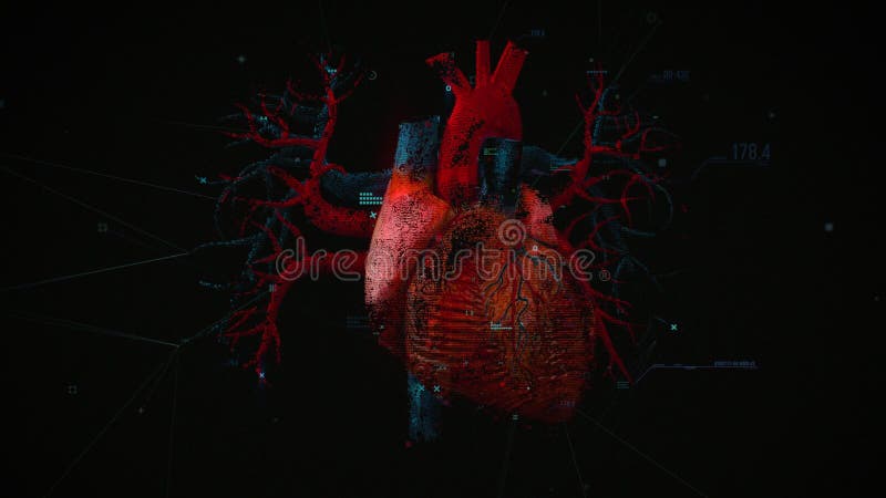 Digital Model of the Human Heart and Major Blood Vessels Stock Footage ...