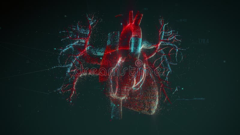 Digital Model of the Human Heart and Major Blood Vessels Stock Footage ...
