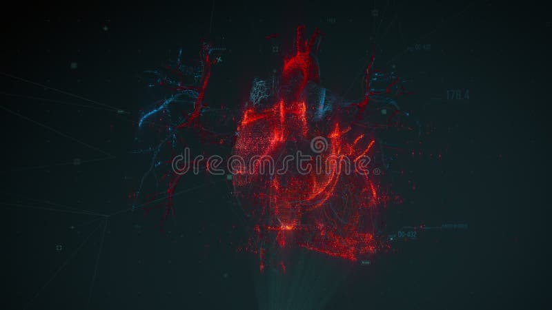 Digital Model of the Human Heart and Major Blood Vessels Stock Footage ...