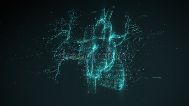Digital Model of the Human Heart and Major Blood Vessels Stock Footage ...