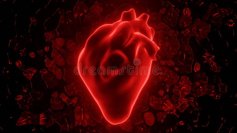 Realistic Human Heart Beating in Chest Via Contraction of Atria and ...