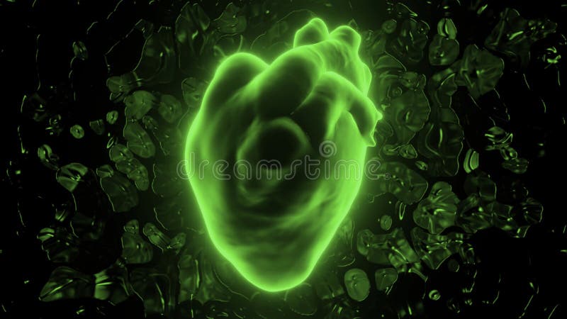 Digital Model Of The Human Realistic Beating Heart Diagnostic Of The