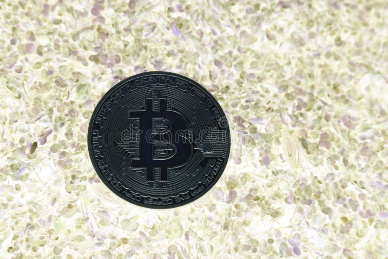 Digital Money Bitcoin in the Green Swamp Stock Photo - Image of cyber ...