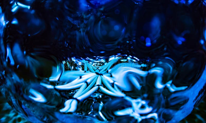 Digital Photo Art Shining Colors Stock Photo - Image of glowing ...