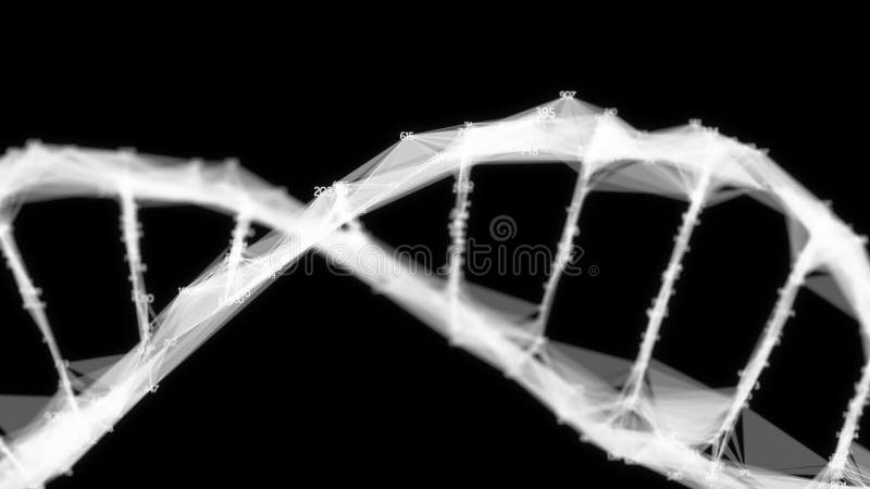 Digital Polygon Plexus Dna Molecule Random Digits Loop Alpha Channel ...