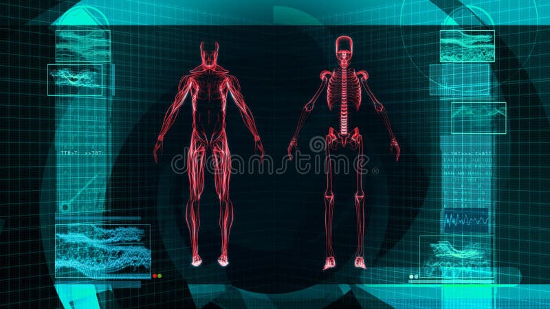 Digital X-Ray Scan of Human Body (HD) Stock Footage - Video of muscle ...