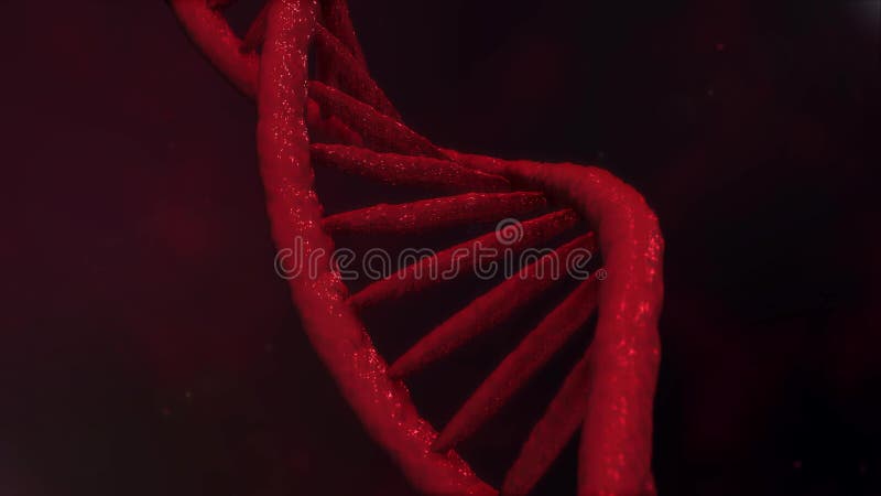 Digital DNA. Rotating DNA Strands are Assembled from Individual ...