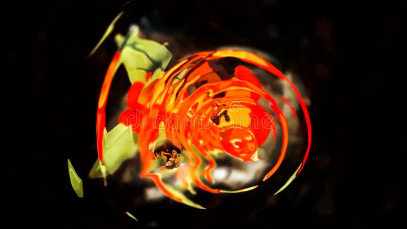 Digital Render Abstract Red Rose and Ripples Stock Illustration ...