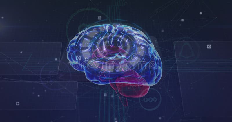 Digital Rendering of Human Brain with Highlighted Sections in Blue and ...