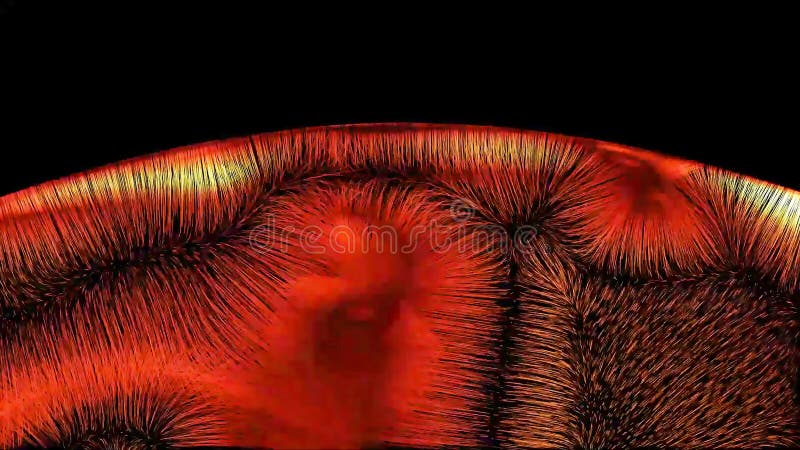 Digital Rendering Red Fire Planet Stock Image - Image of coal, fluffy ...