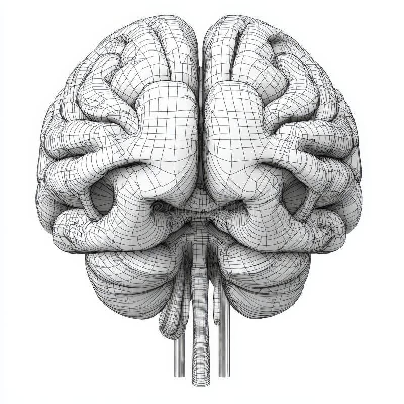 A Digital Representation of the Brain S Neural Network is Depicted in a ...