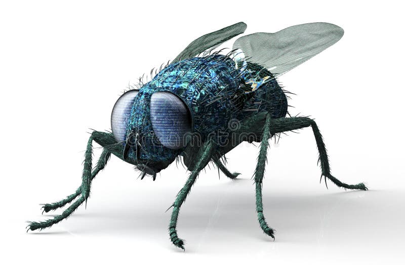 Digital Safety Concept Computer Bug Isolated on White, 3D Illustration ...