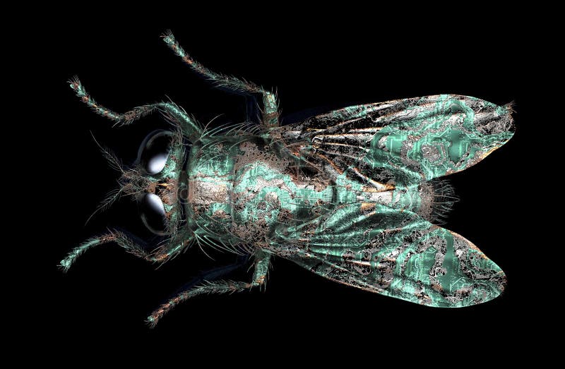 Digital Safety Concept Electronic Computer Bug Isolated Stock ...