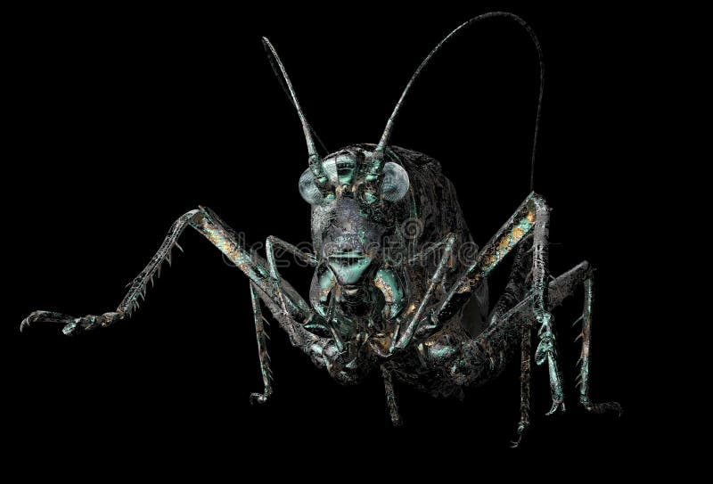 Digital Safety Concept Electronic Computer Bug Isolated Stock ...