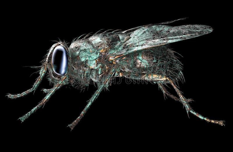 Digital Safety Concept Electronic Computer Bug Isolated Stock ...