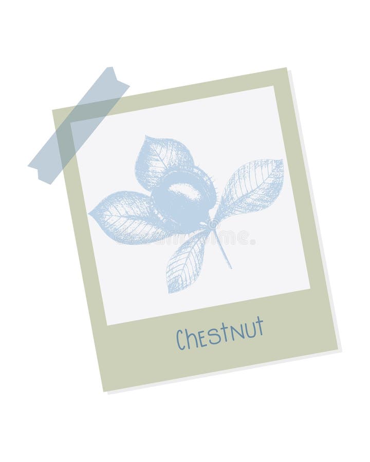 Digital Scrapbooking Element Vintage Illustration of Blue Imprint ...