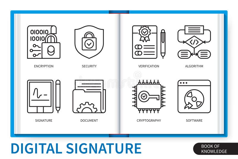 Digital Signature Infographics Linear Icons Collection Stock