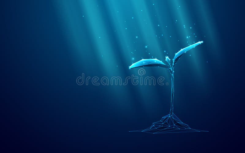 Digital Seed Sprouting in a Pot with Its Growth Stages Shown from ...