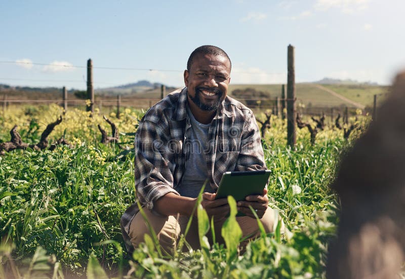 With Digital Tech Farming Gets Easier by the Day. a Mature Man Using a ...