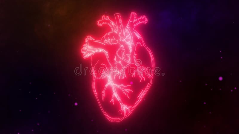 Digital Video of Human Heart Red. Stock Footage - Video of cardiology ...