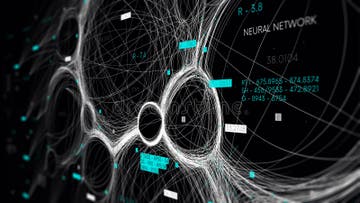 Digital Visualization of Data Flow and Formation of Neural Networks, Database Processing ...