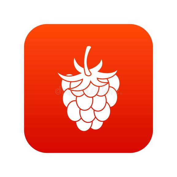 Digitales Rot Der Himbeer- Oder Brombeerikone Vektor Abbildung ...